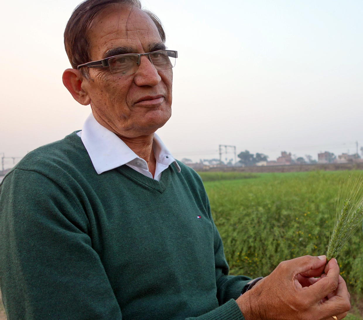 CIMMYT scientist R.K. Malik wins Crawford Fund's Derek Tribe Award for improving livelihoods of ...