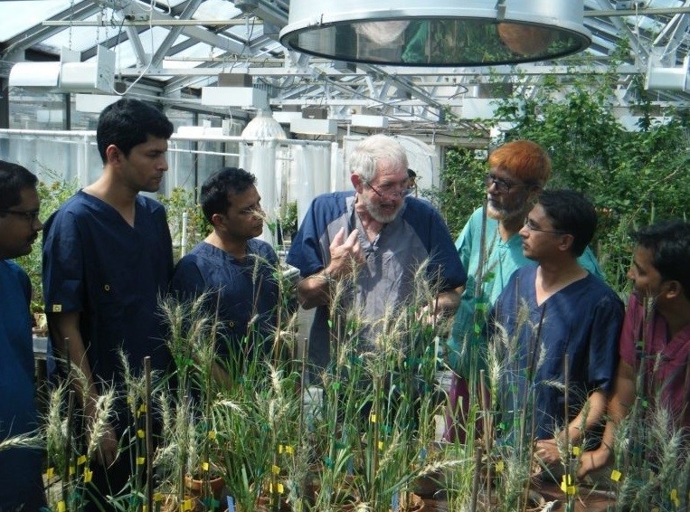 Asian scientists join cross-continental training to restrain wheat ...