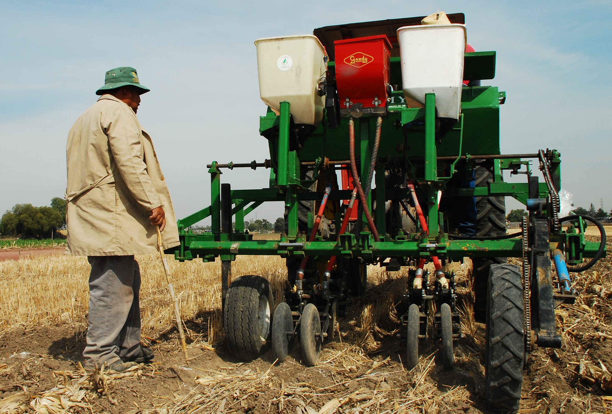 Many conditions, same yield: Durum wheat selected for zero tillage performs equally under ...