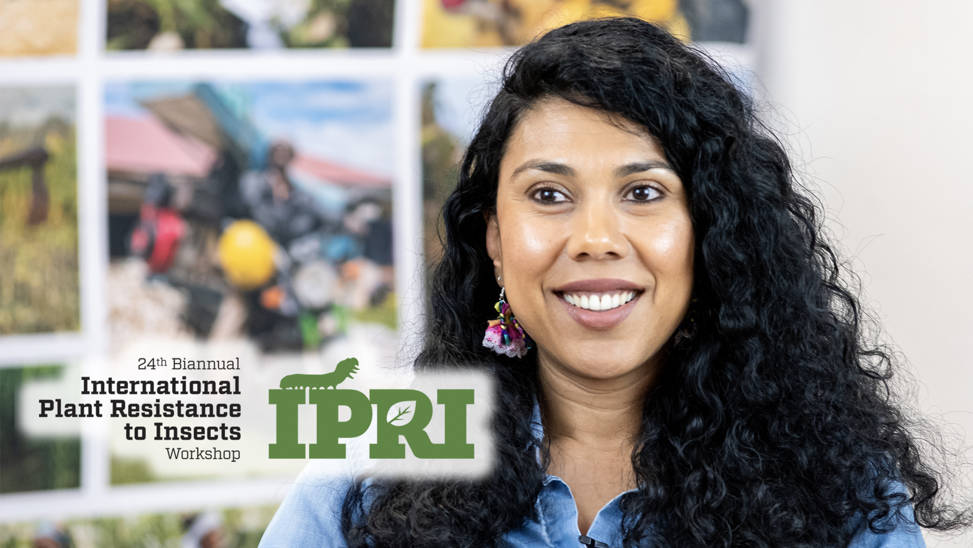 Wheat curl mites: What are they and how can we fight them? – ARCHIVE ...