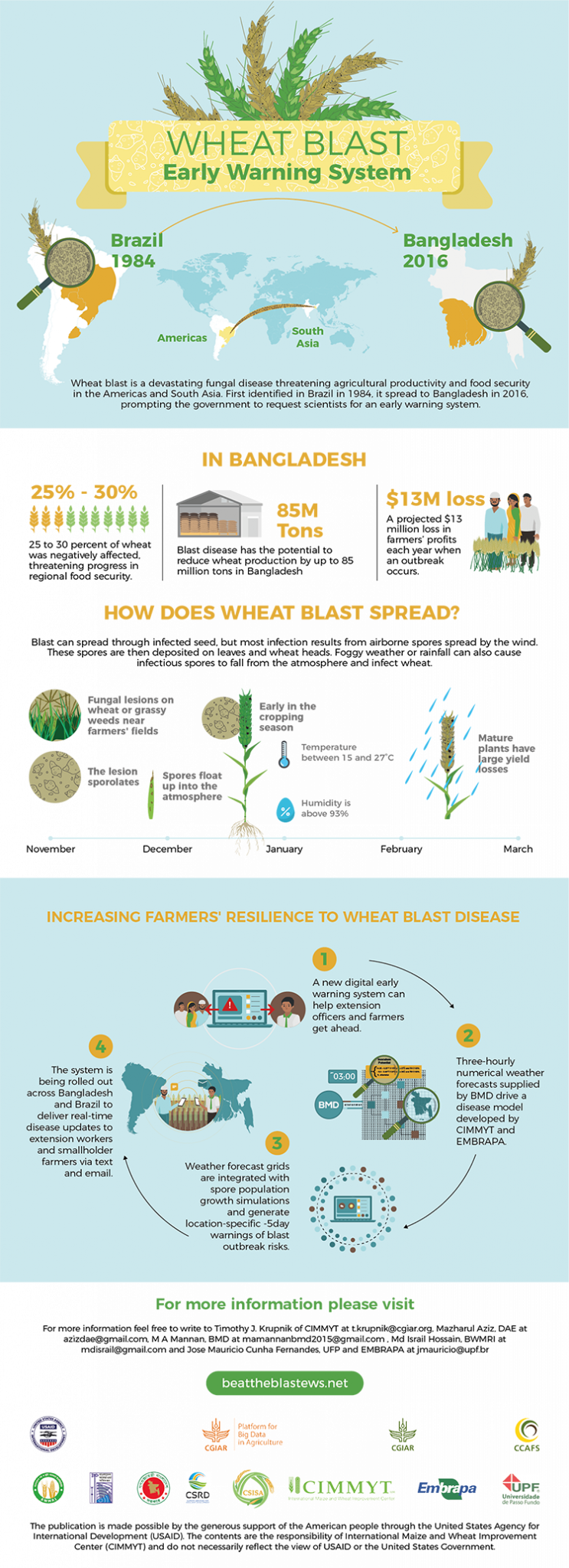 New infographic highlights an early warning system for wheat blast in ...