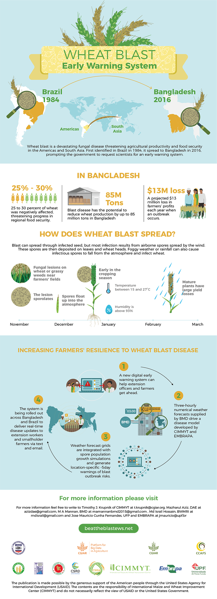 New infographic highlights an early warning system for wheat blast in ...