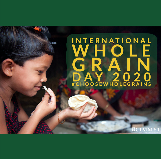 Wheat around the World: Celebrating International Whole Grain Day ...