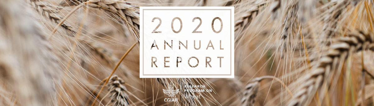 ARCHIVE wheat.org – CGIAR Research Program on WHEAT
